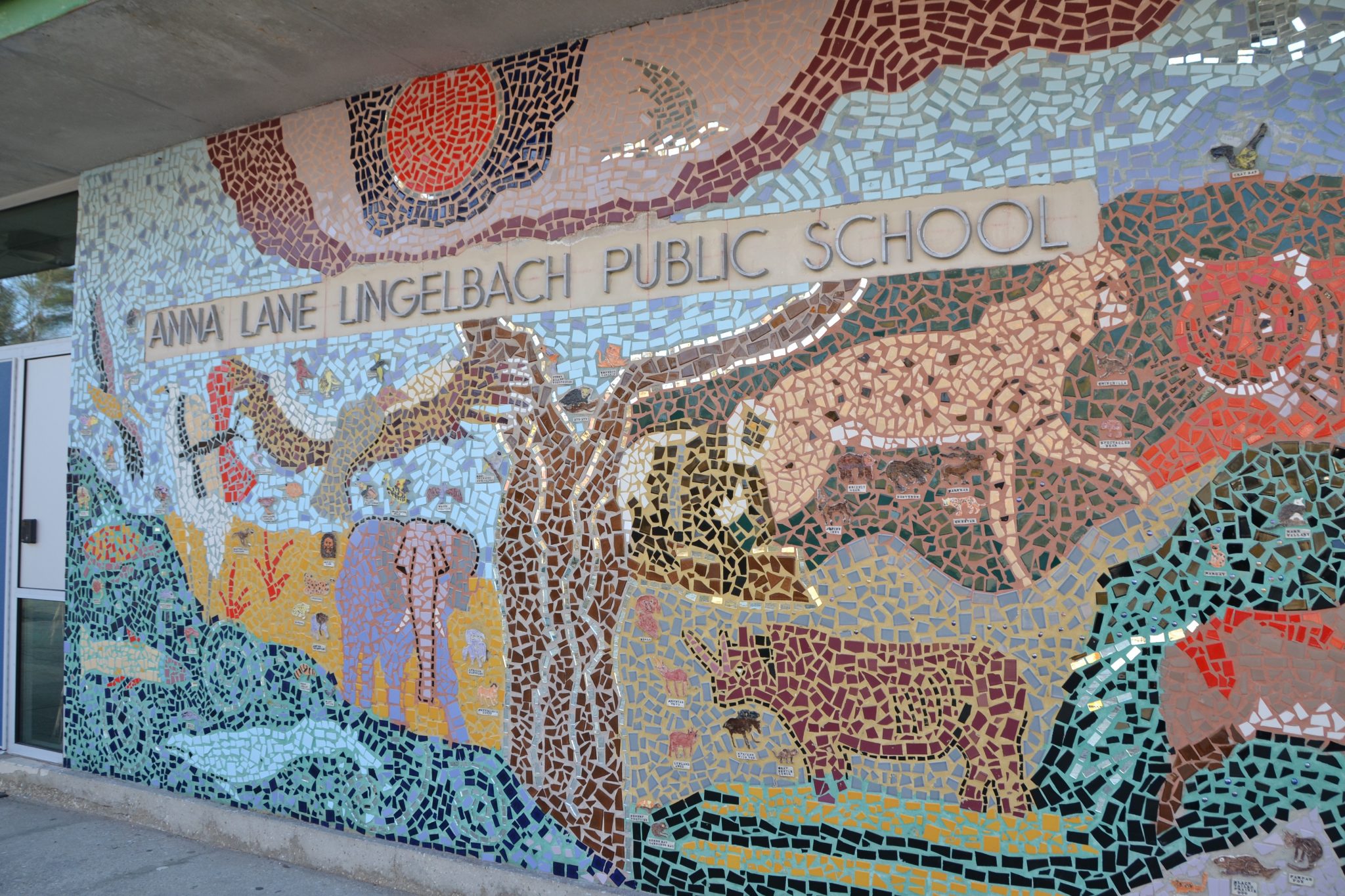 Lingelbach’s Diversity, Equity, and Inclusion Day – My Second Act
